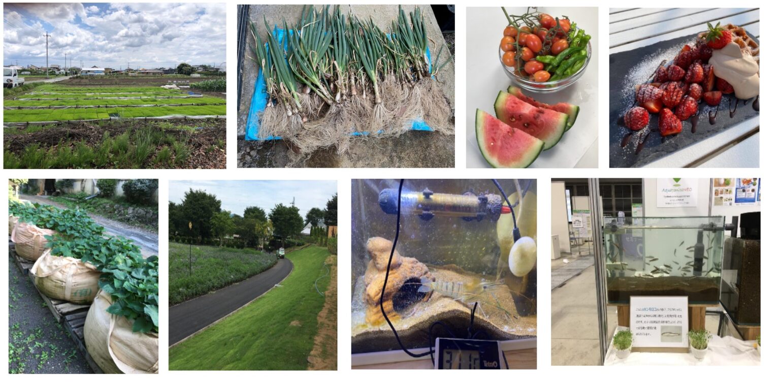 Sintered Granulated Clay TC-100